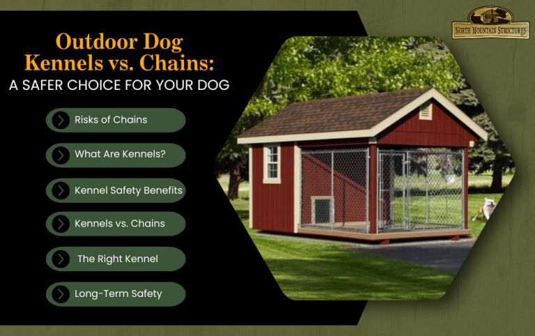 Outdoor Dog Kennels vs. Chains: A Safer Choice for Your Dog - North ...